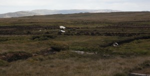 A Drive Through the Bog | That Which We Have Heard & Known