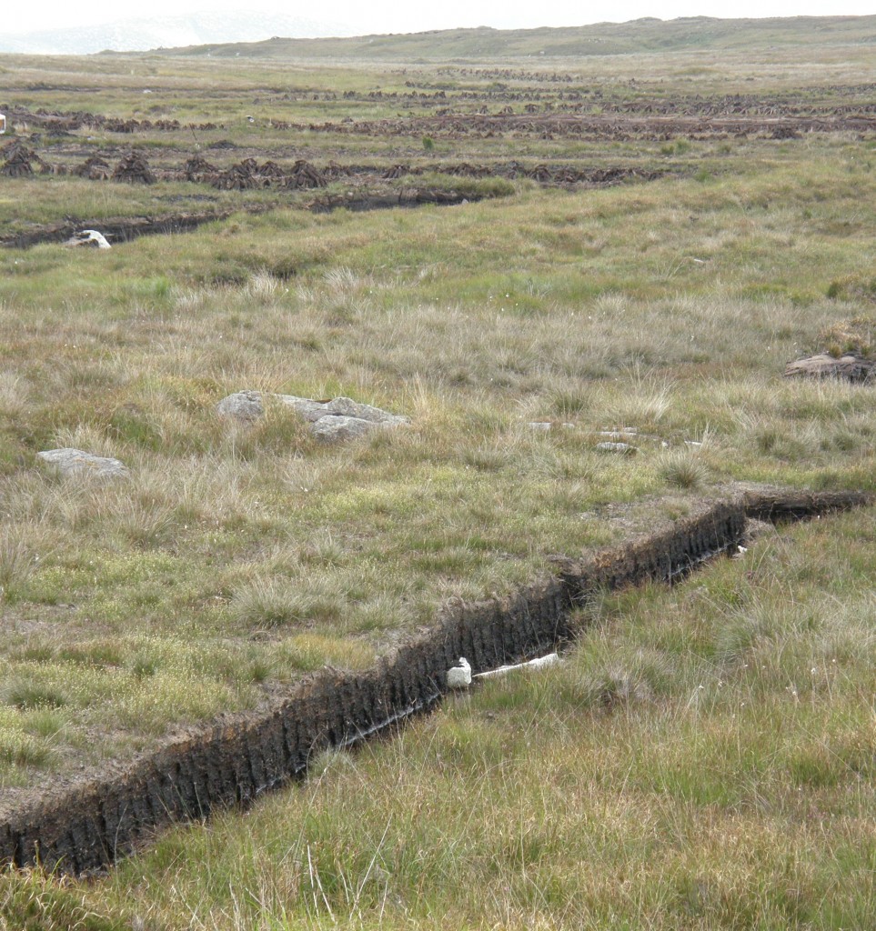 A Drive Through the Bog | That Which We Have Heard & Known