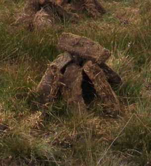 A Drive Through the Bog | That Which We Have Heard & Known