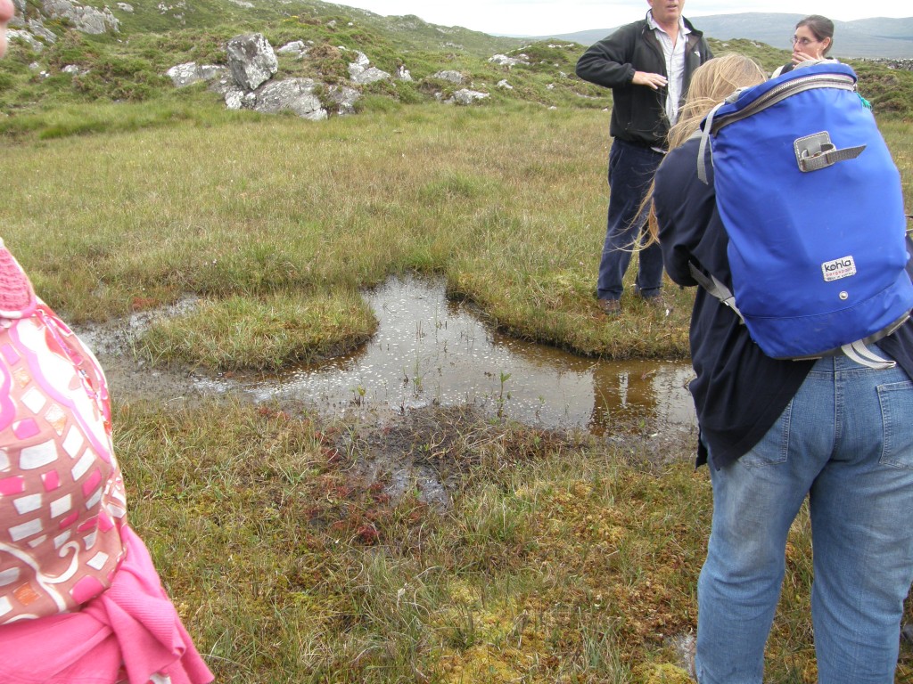 Another Walk through the Connemara | That Which We Have Heard & Known