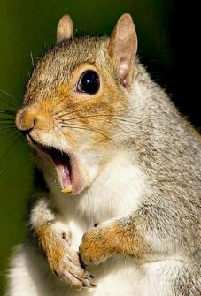 Transfiguration | That Which We Have Heard & Known